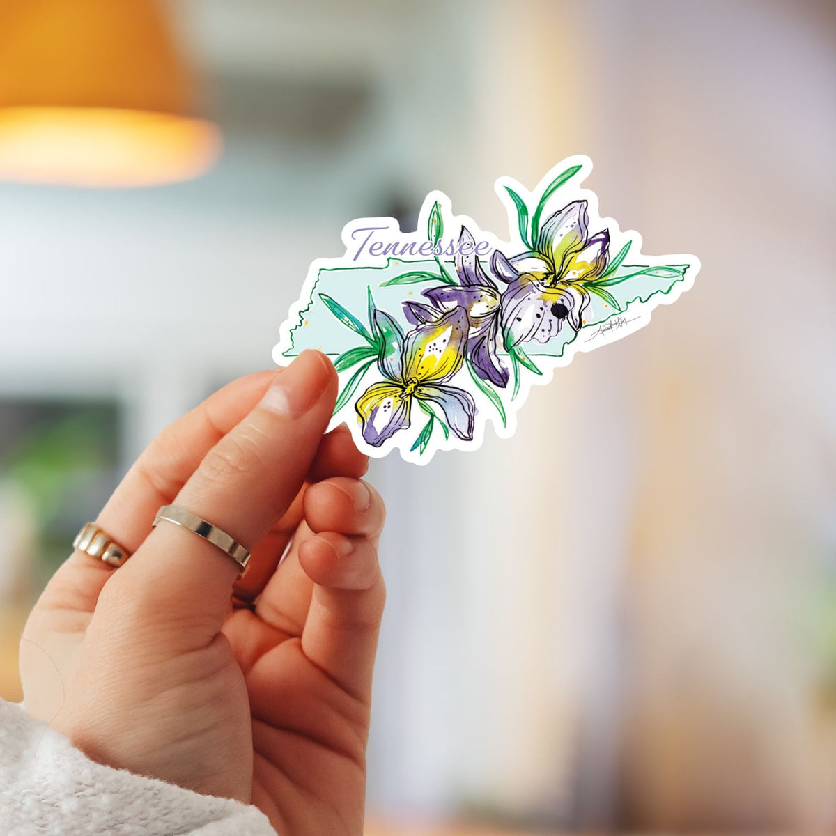 Tennessee Iris State Flower Vinyl Sticker – Amanda Klein