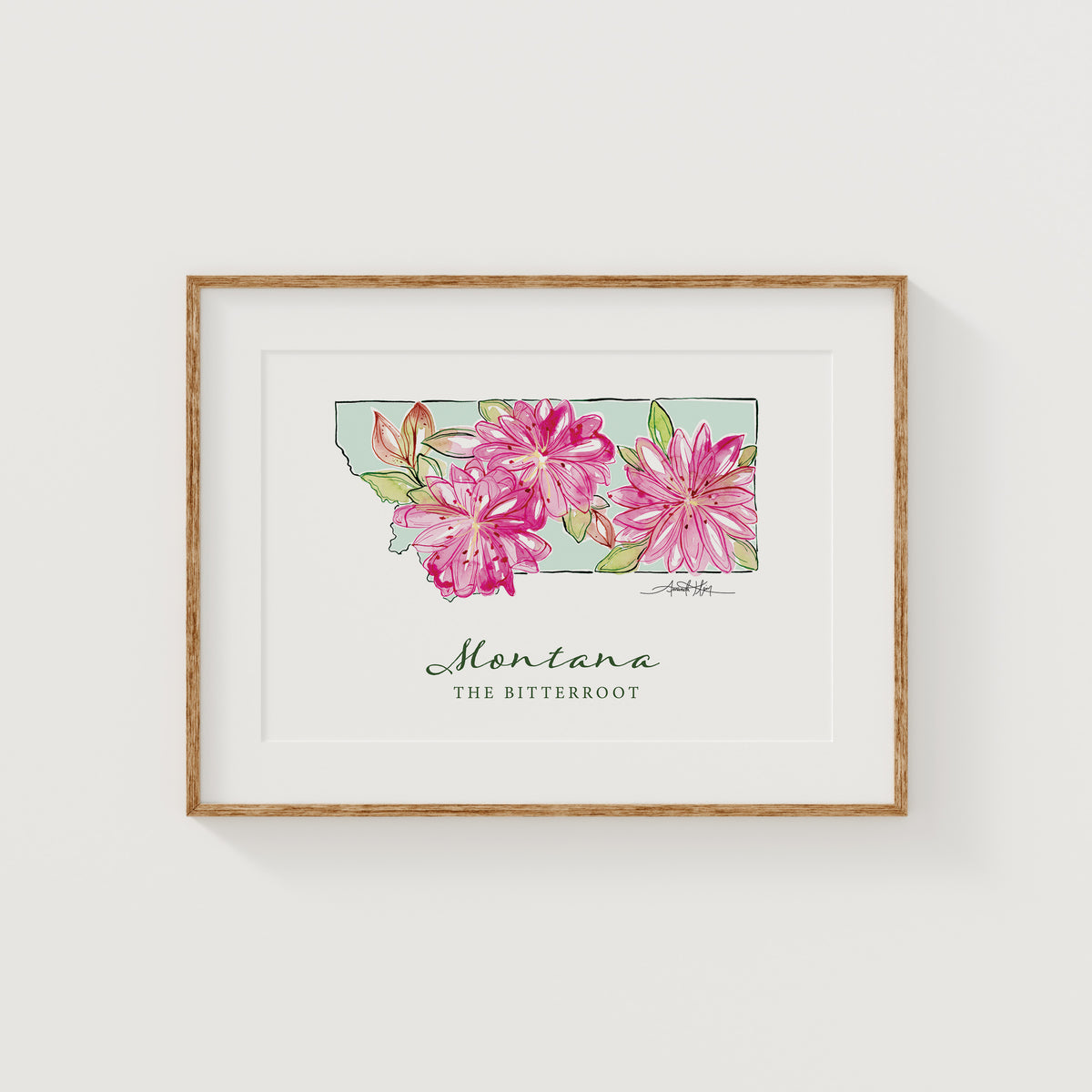 Montana Bitterroot State Flower Fine Art Print – Amanda Klein
